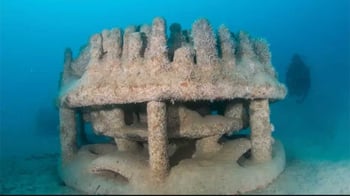 From Rust to Reef: How Artificial Reefs Benefit Marine Life and Coastal ...